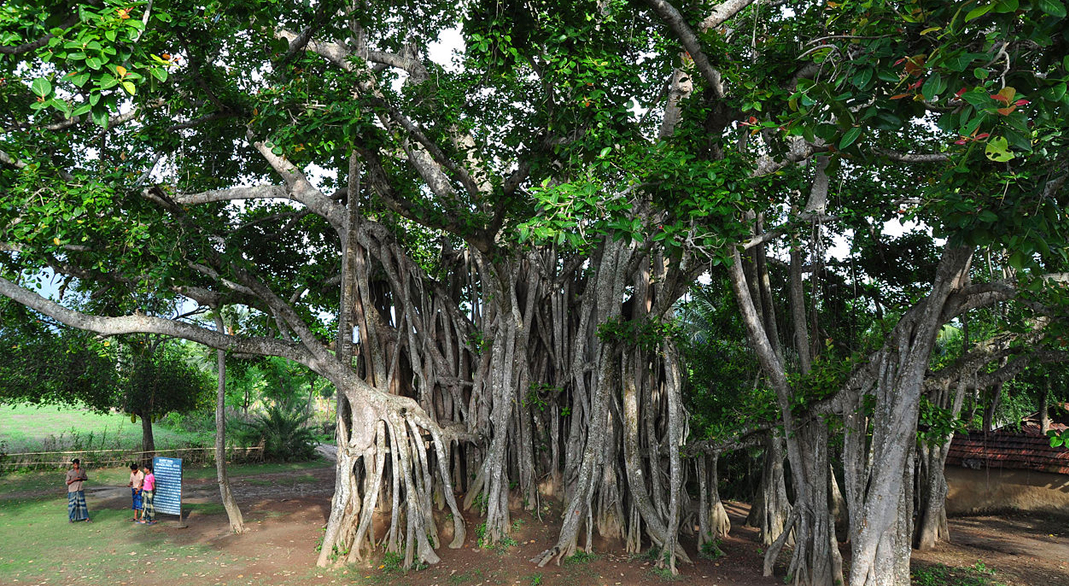 Yadagirigutta: A pilgrimage destination for devotees - Hotel Sannidhi ...